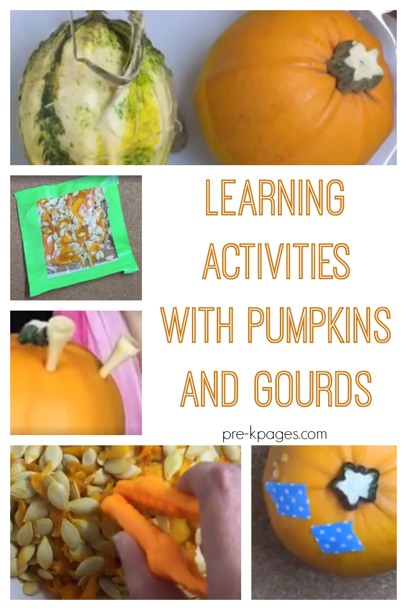 8 Pumpkin Activities For Preschool - Pre-K Pages