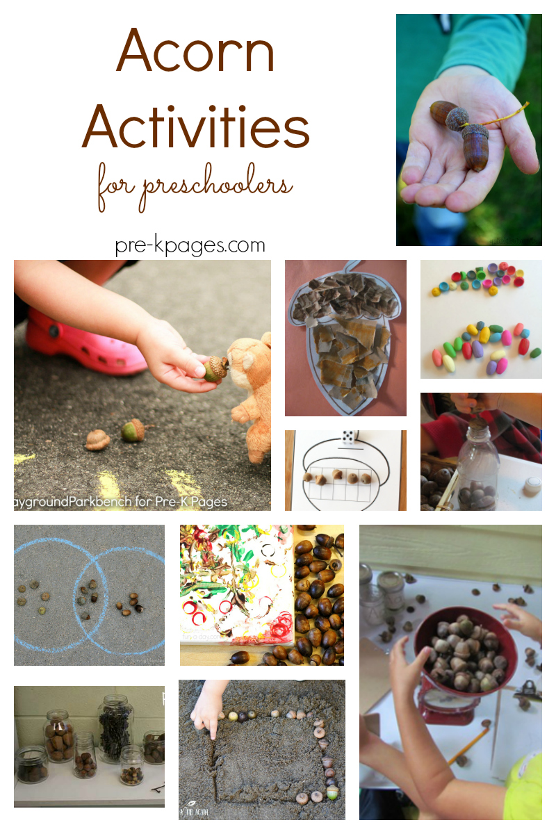 Acorn Activities for Preschoolers - Pre-K Pages