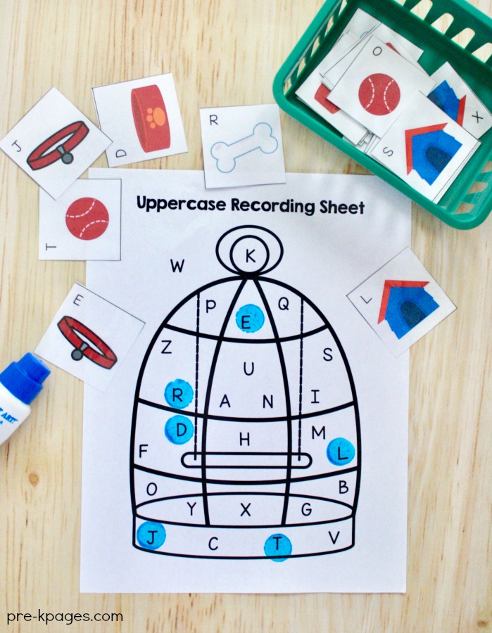 Pets Theme Activities and Centers for Preschool