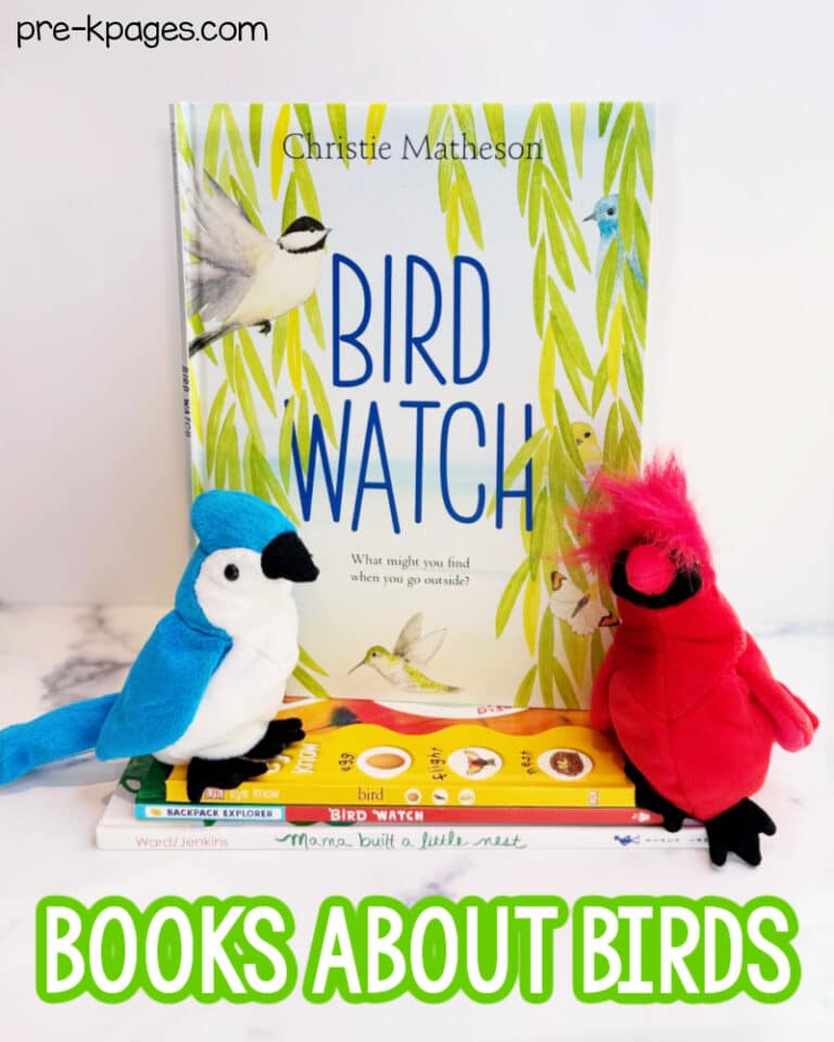 20 Best Bird Books For Preschool Kids To Read About