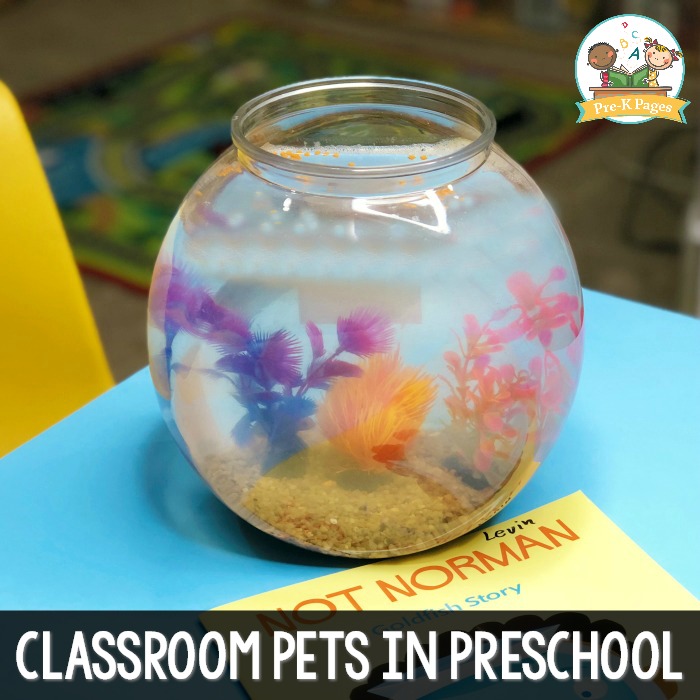 Best Classroom Pets for Preschool - Pre-K Pages