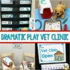 Vet Animal Hospital Dramatic Play