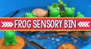 Frog Sensory Bin for Preschool - Pre-K Pages