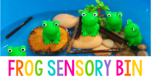 Frog Sensory Bin for Preschool - Pre-K Pages