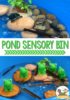 Frog Sensory Bin for Preschool - Pre-K Pages