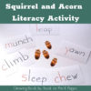 Squirrel Fall Book and Literacy Activity - Pre-K Pages
