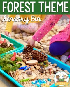 Forest Theme Sensory Bin for Preschool - Pre-K Pages