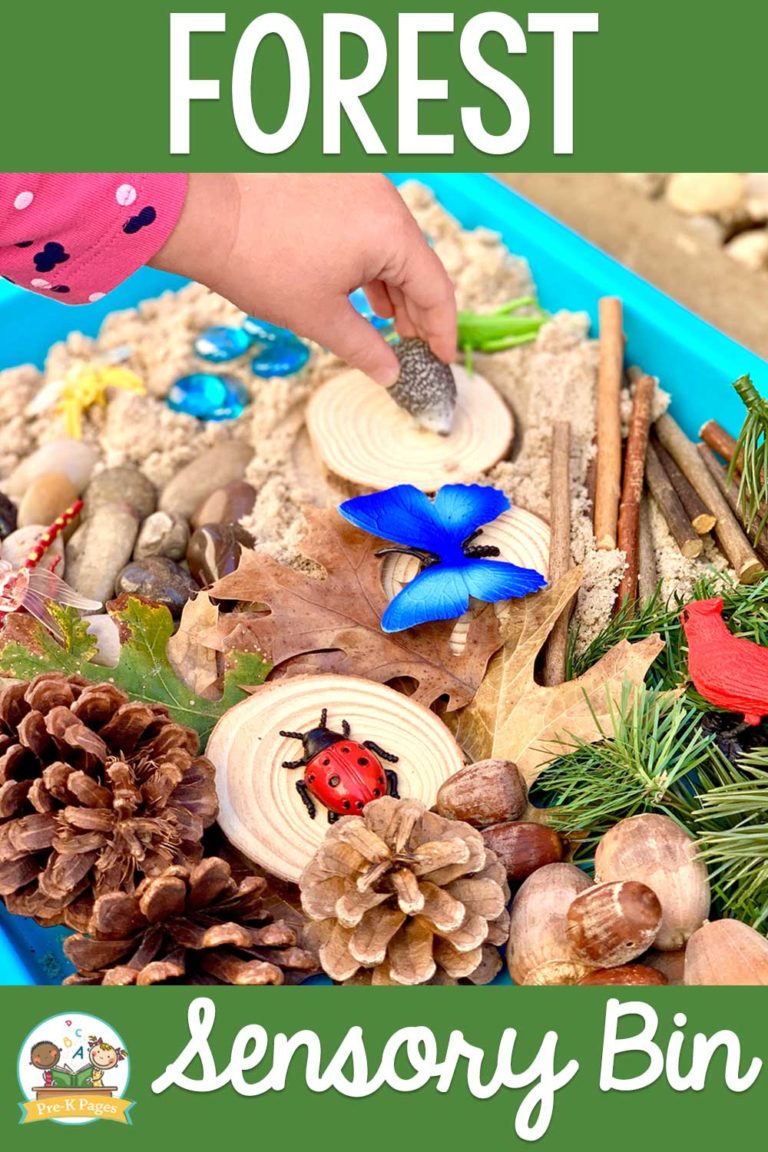 Forest Theme Sensory Bin for Preschool - Pre-K Pages