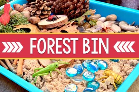 Forest Theme Sensory Bin for Preschool - Pre-K Pages