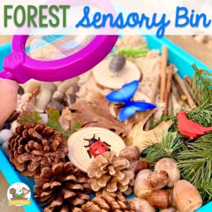 Forest Theme Sensory Bin for Preschool - Pre-K Pages