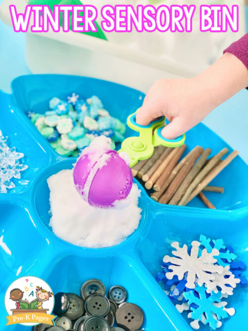Winter Sensory Bin with Real Snow - Pre-K Pages