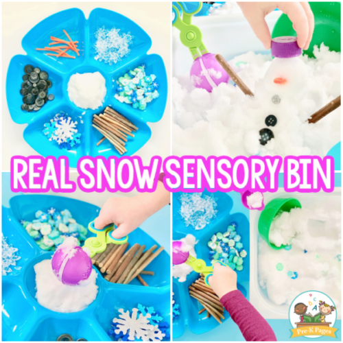Winter Sensory Bin with Real Snow - Pre-K Pages