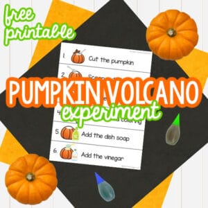 Pumpkin Volcano Science Experiment - Pre-K Pages