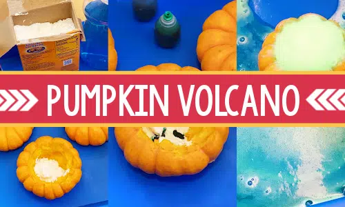 Hands-on Pumpkin Science Activity for Pre-K: Parts of a Pumpkin