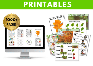 Preschool Science Curriculum - Centers and Activities for Pre-K - Pre-K ...