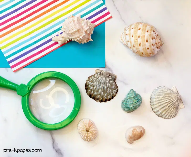 Science Areas for Preschoolers: Nurturing Young Minds with Fun and Easy ...