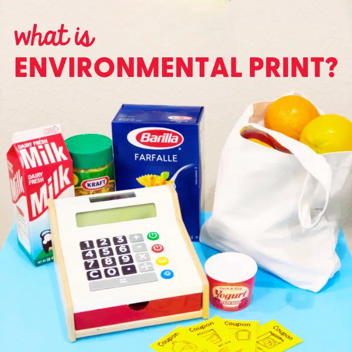 Environmental Print Ideas, Activities, Games and More!