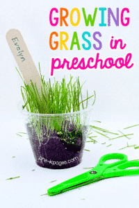 How To Grow Grass Seed in a Cup - Pre-K Pages