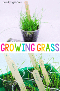 How To Grow Grass Seed in a Cup - Pre-K Pages