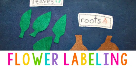 25 Planting And Gardening Activies For Preschoolers