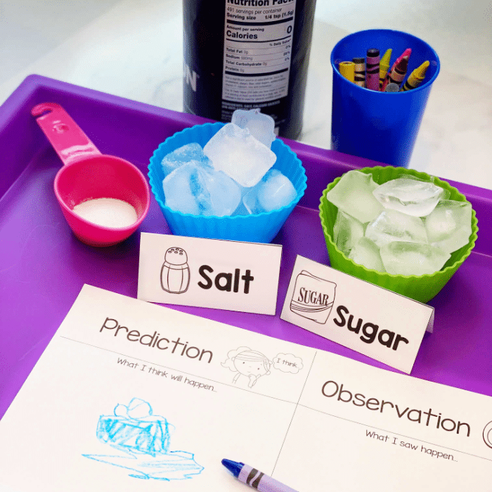 Exploring Science Concepts in Preschool - Pre-K Pages