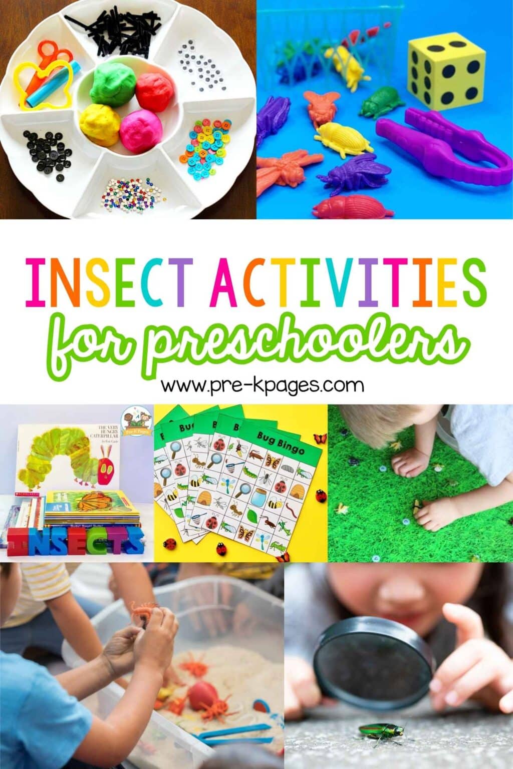 Insect Activities for Preschoolers - Pre-K Pages