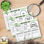 Science Unit: Soil and Worms - Pre-K Pages