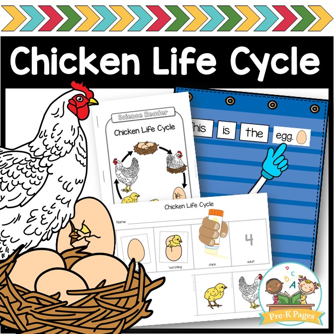 Farm Lesson Plan Bundle | Preschool and Pre-K - Pre-K Pages