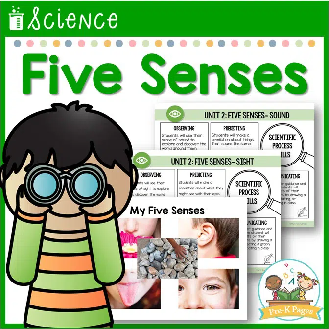The Five Senses Sight