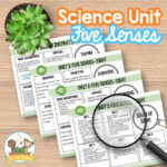 Science Unit: 5 Senses - Pre-K Pages