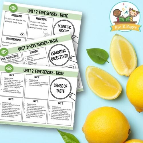 Science Unit: 5 Senses - Pre-K Pages