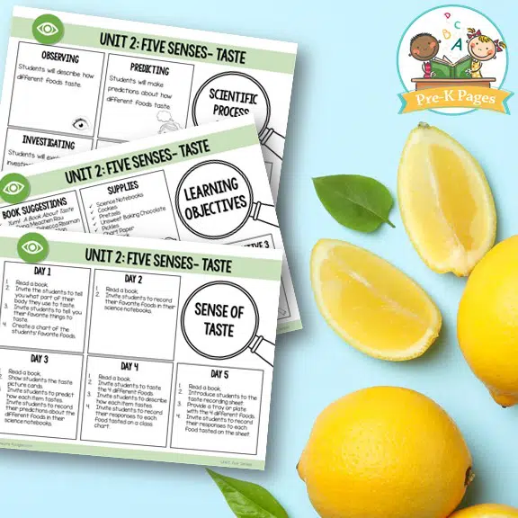 Science Unit: 5 Senses - Pre-K Pages