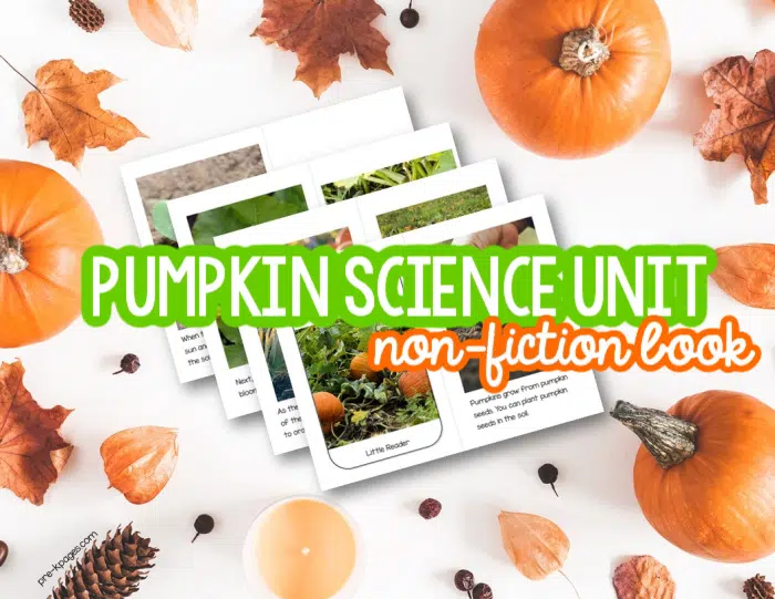Pumpkin Science Unit - Pre-K Pages