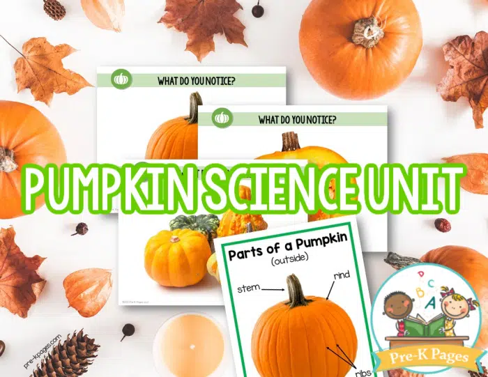 Pumpkin Science Unit - Pre-K Pages