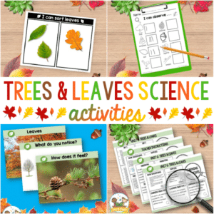 Science Unit: Trees and Leaves - Pre-K Pages