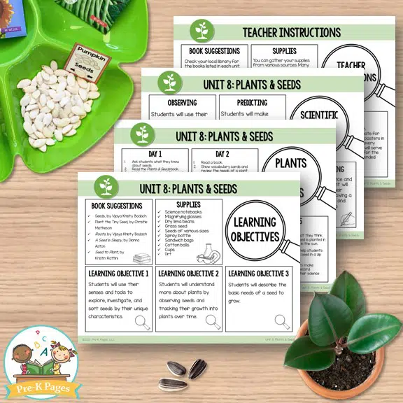 Plants and Seeds Science Unit for Pre-K and Preschool - Pre-K Pages