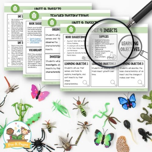 Insect Science Unit for Pre-K and Preschool - Pre-K Pages