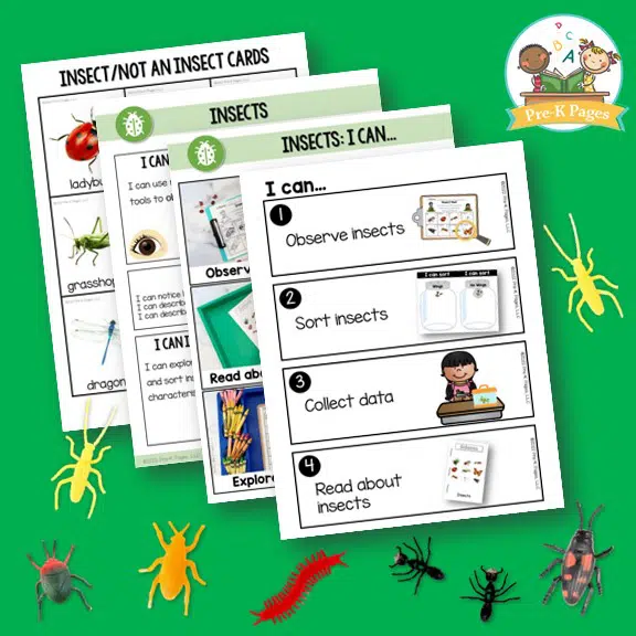 Insect Science Unit for Pre-K and Preschool - Pre-K Pages