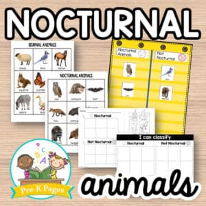 Day and Night Science Unit for Pre-K and Preschool - Pre-K Pages
