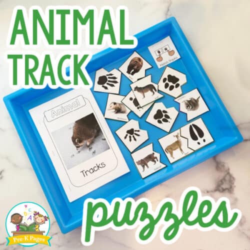 Animals in Winter Science Unit for Preschool and Pre-K - Pre-K Pages